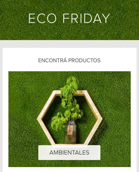 Eco Friday Mercado Libre | Jimena Mejuto